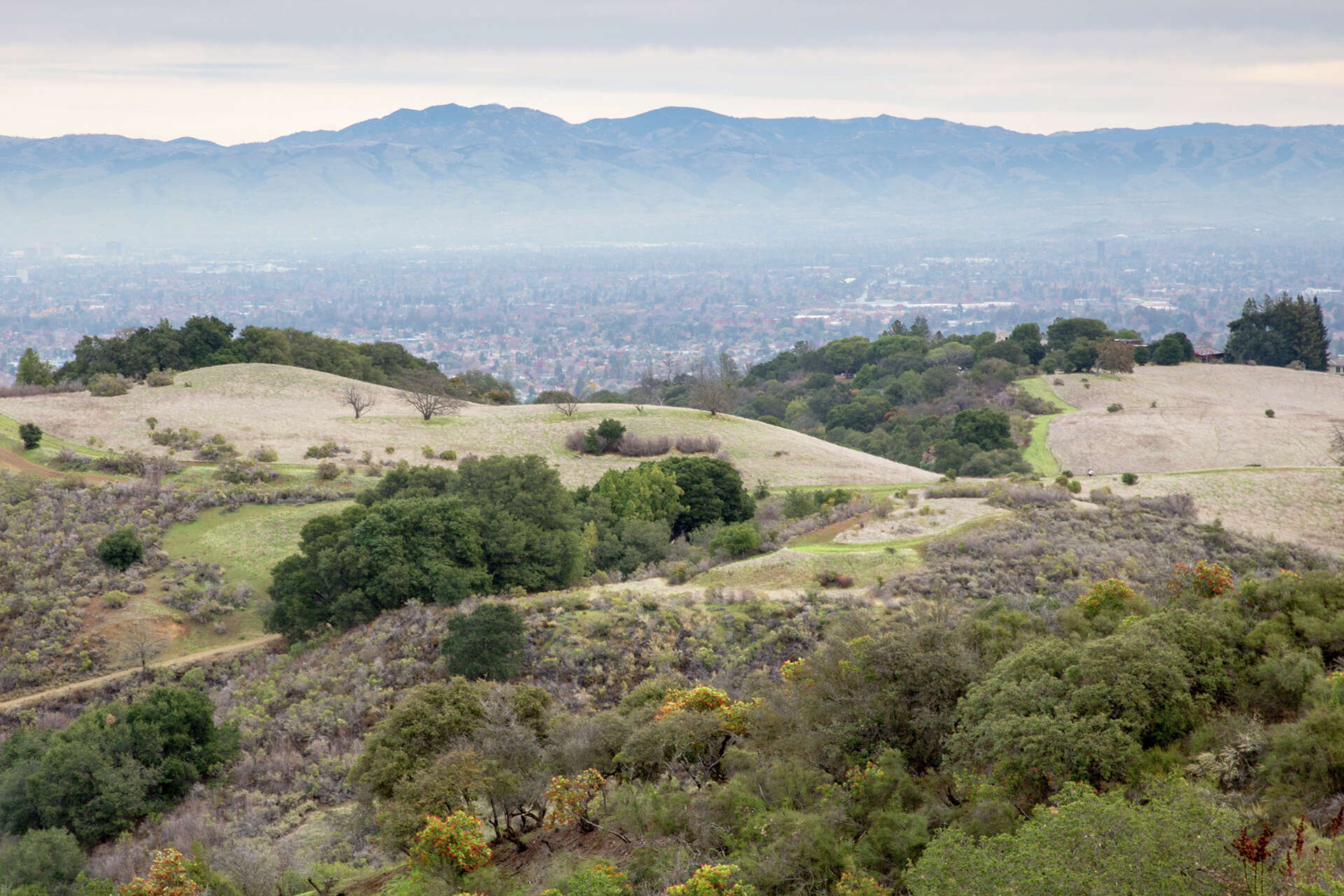 Julia Roberts' first movie was shot at this Bay Area hike