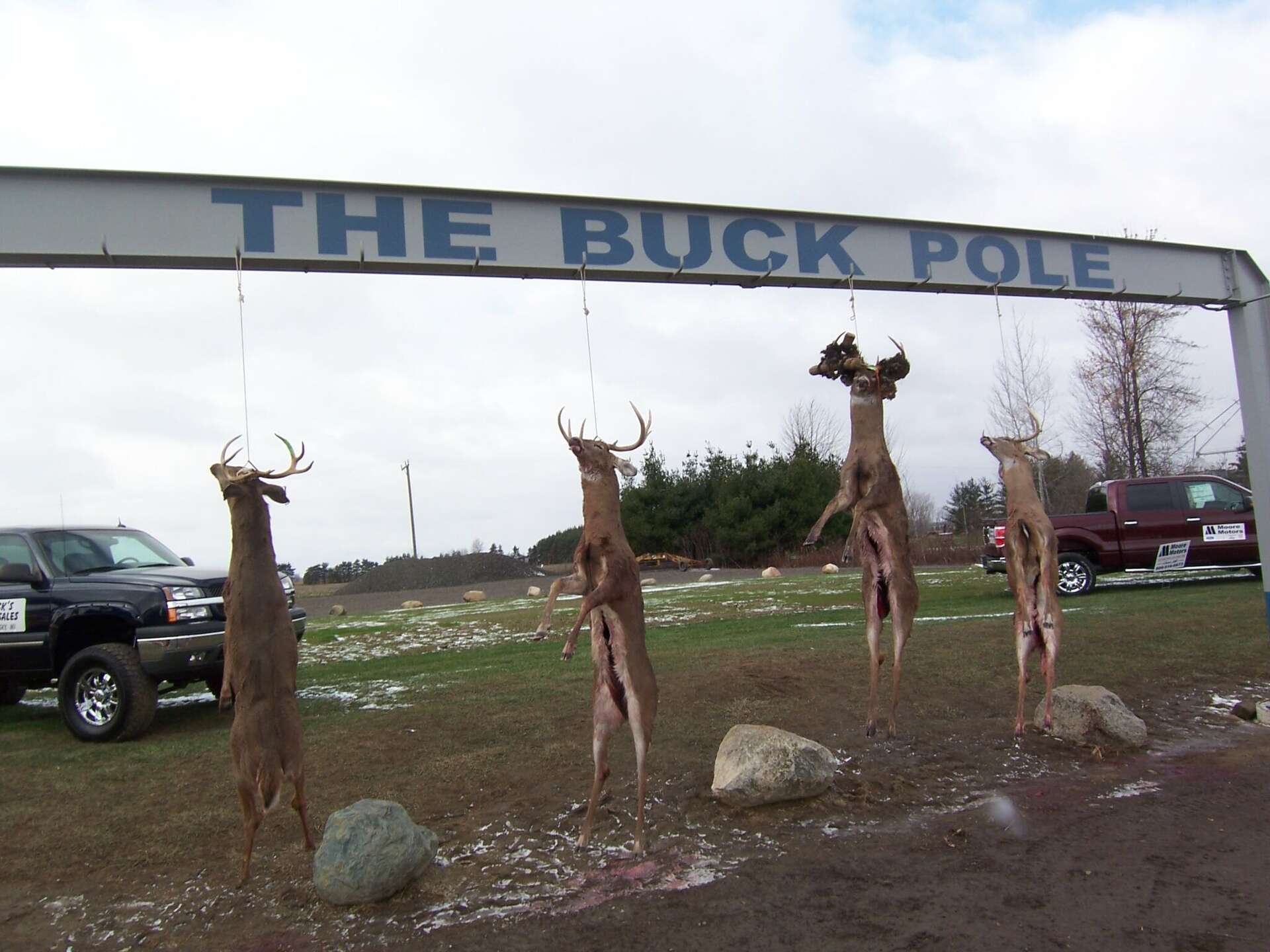 Market hunting led to start of Michigan deer management in late 1800s