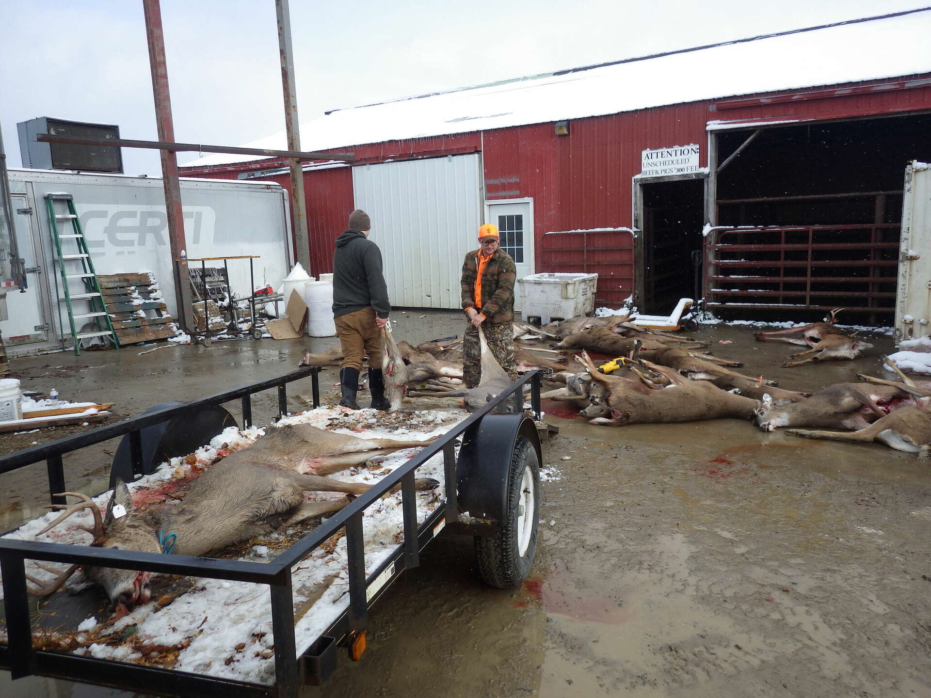 Market hunting led to start of Michigan deer management in late 1800s