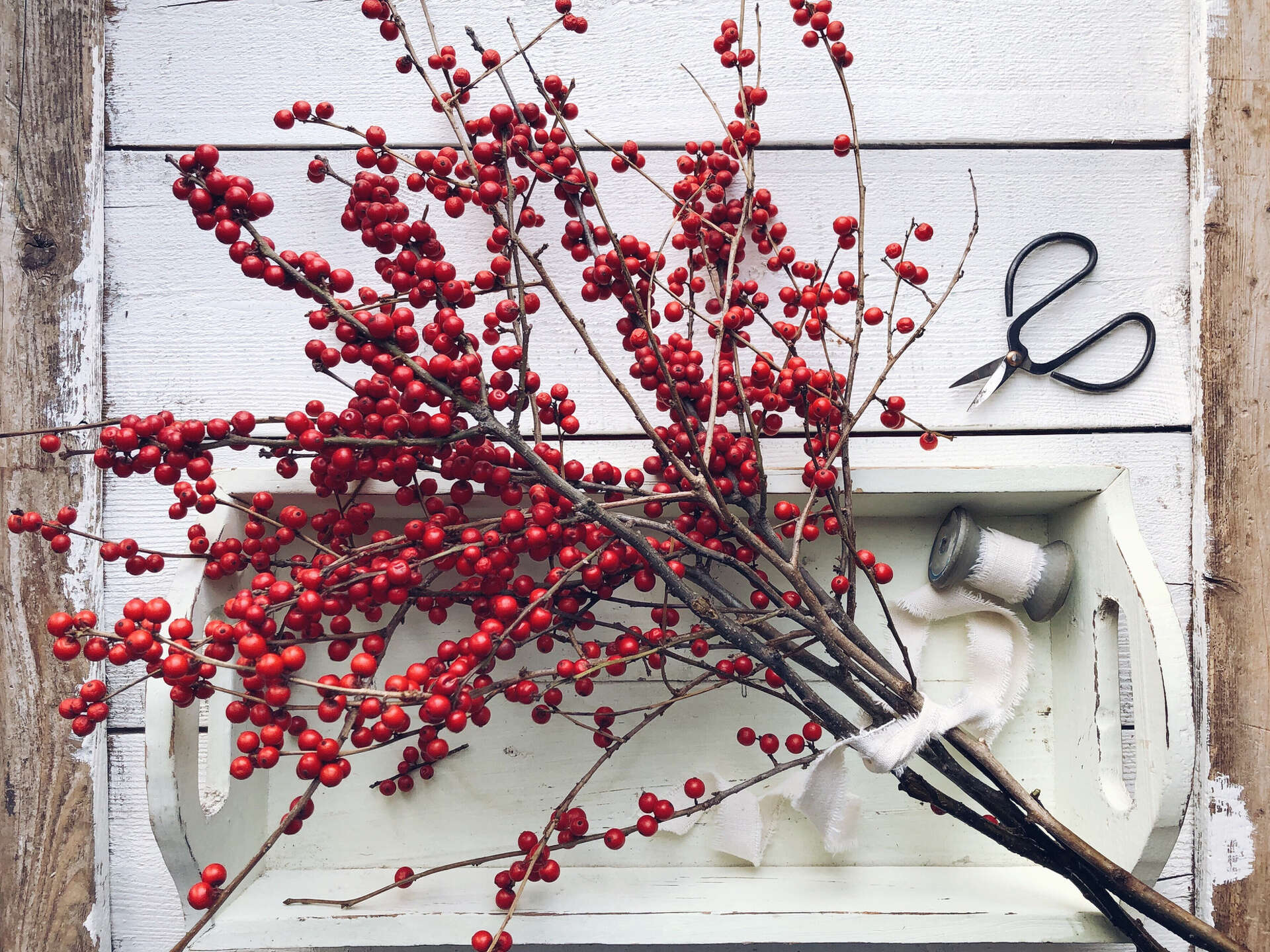 5 Ways to Use and Arrange Winterberry for Winter Decor