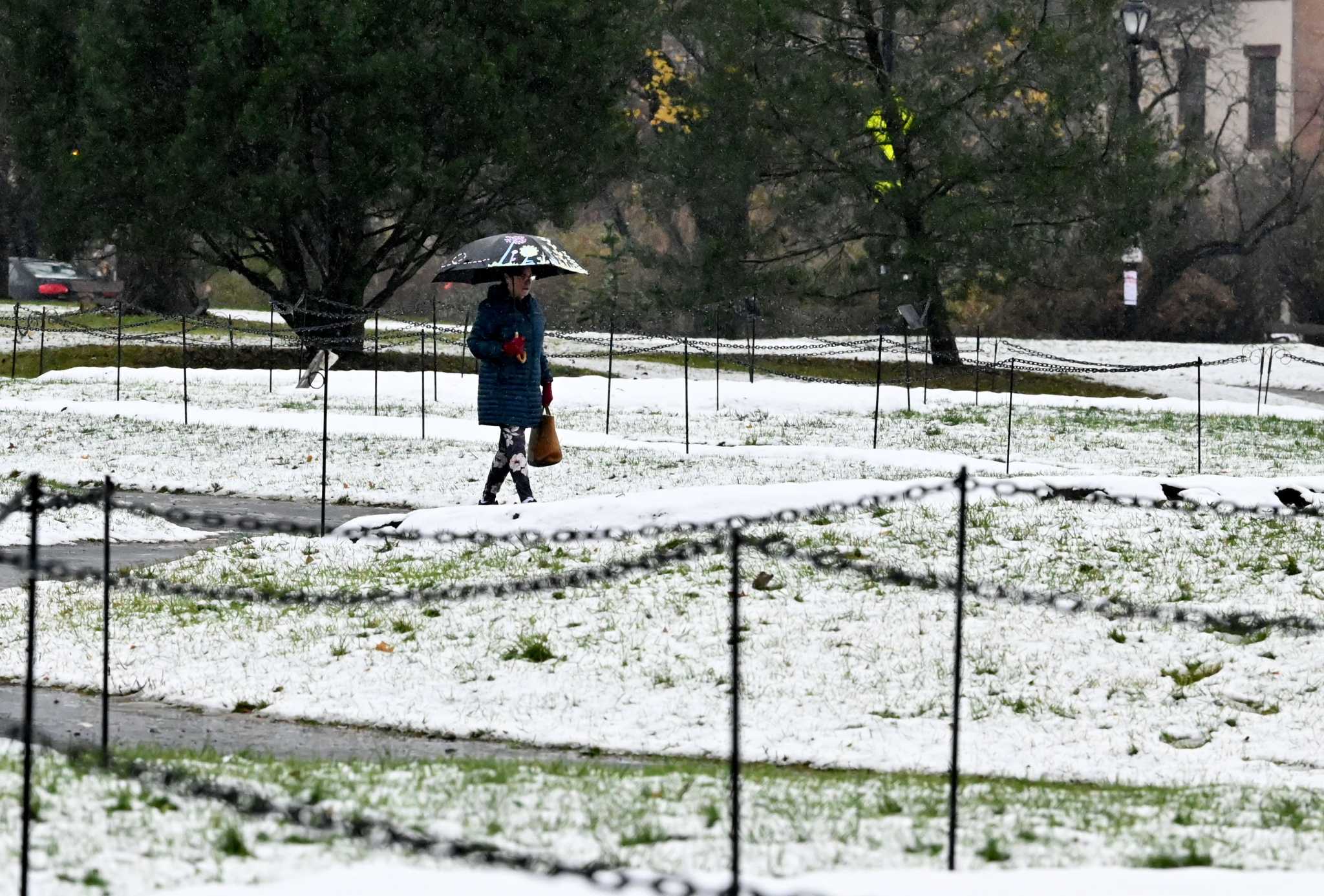 Trump is ending protected immigration status for Somalis, long a target ...