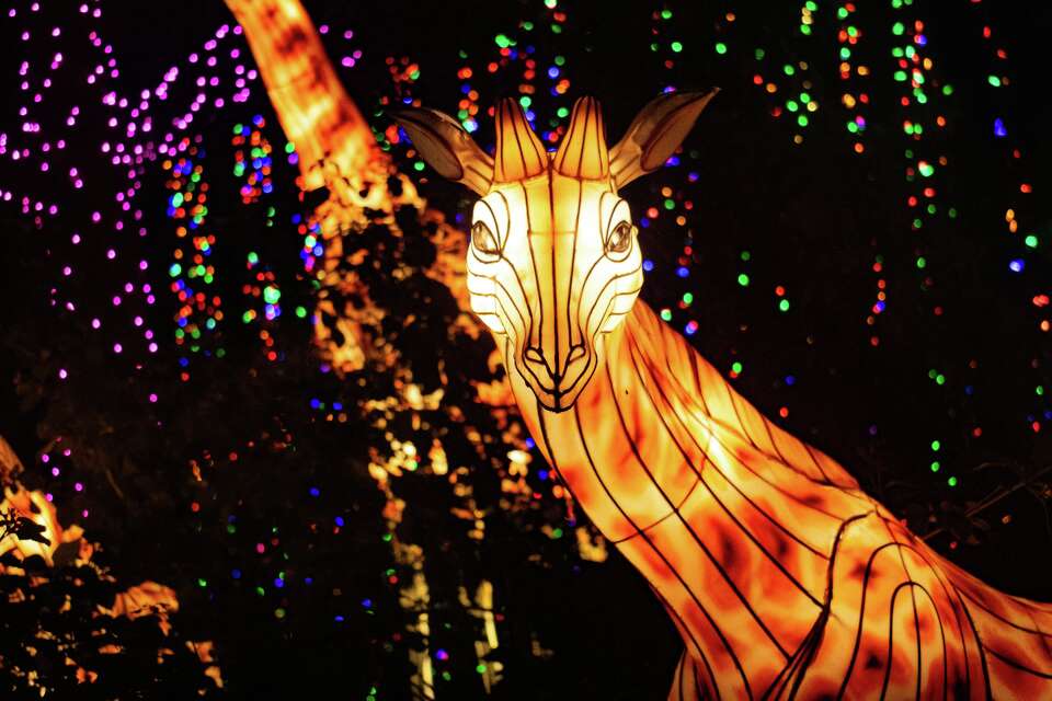Holiday light displays in Houston: Zoo Lights, Galaxy Lights and more