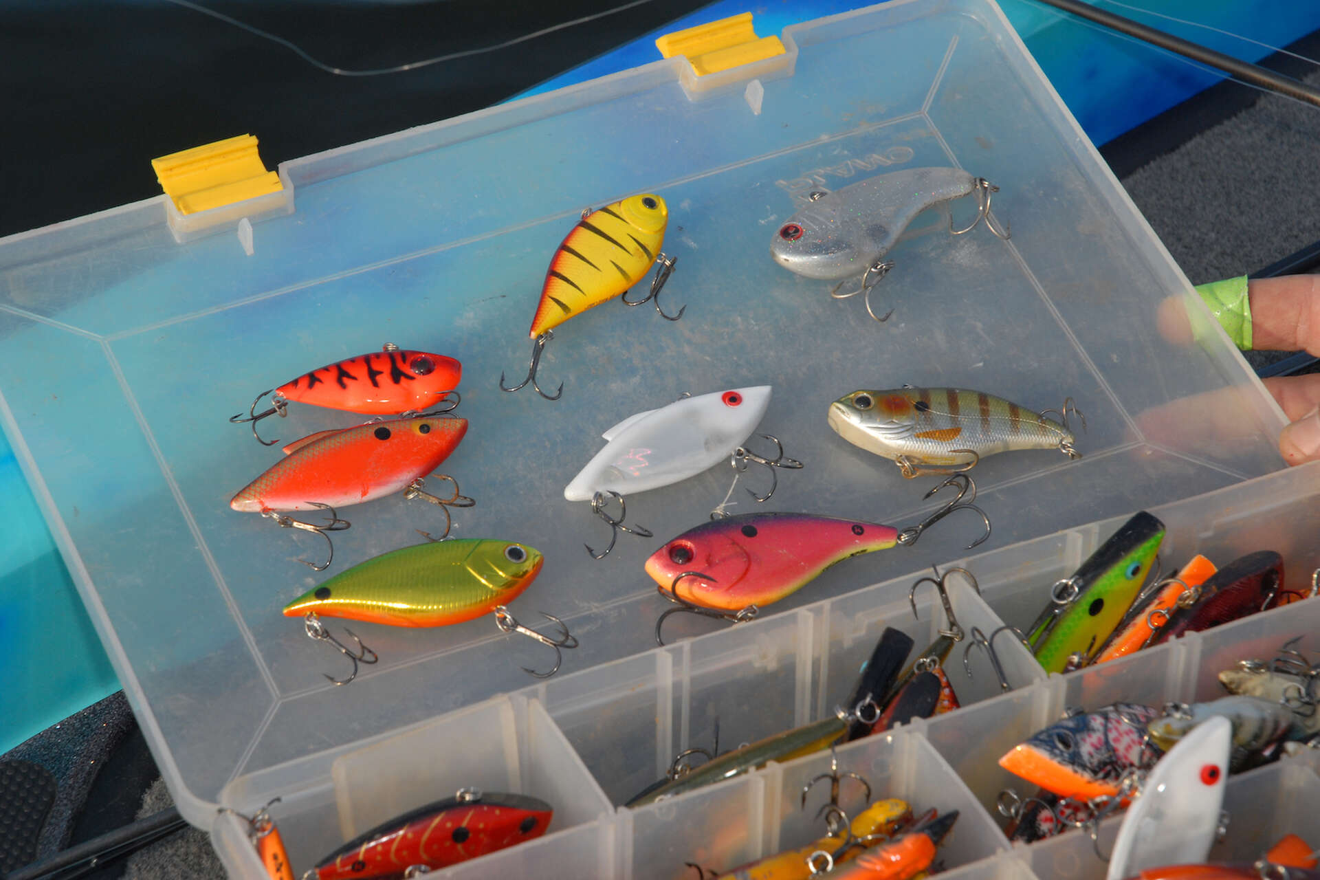 Professional anglers give advice on how to choose bait colors