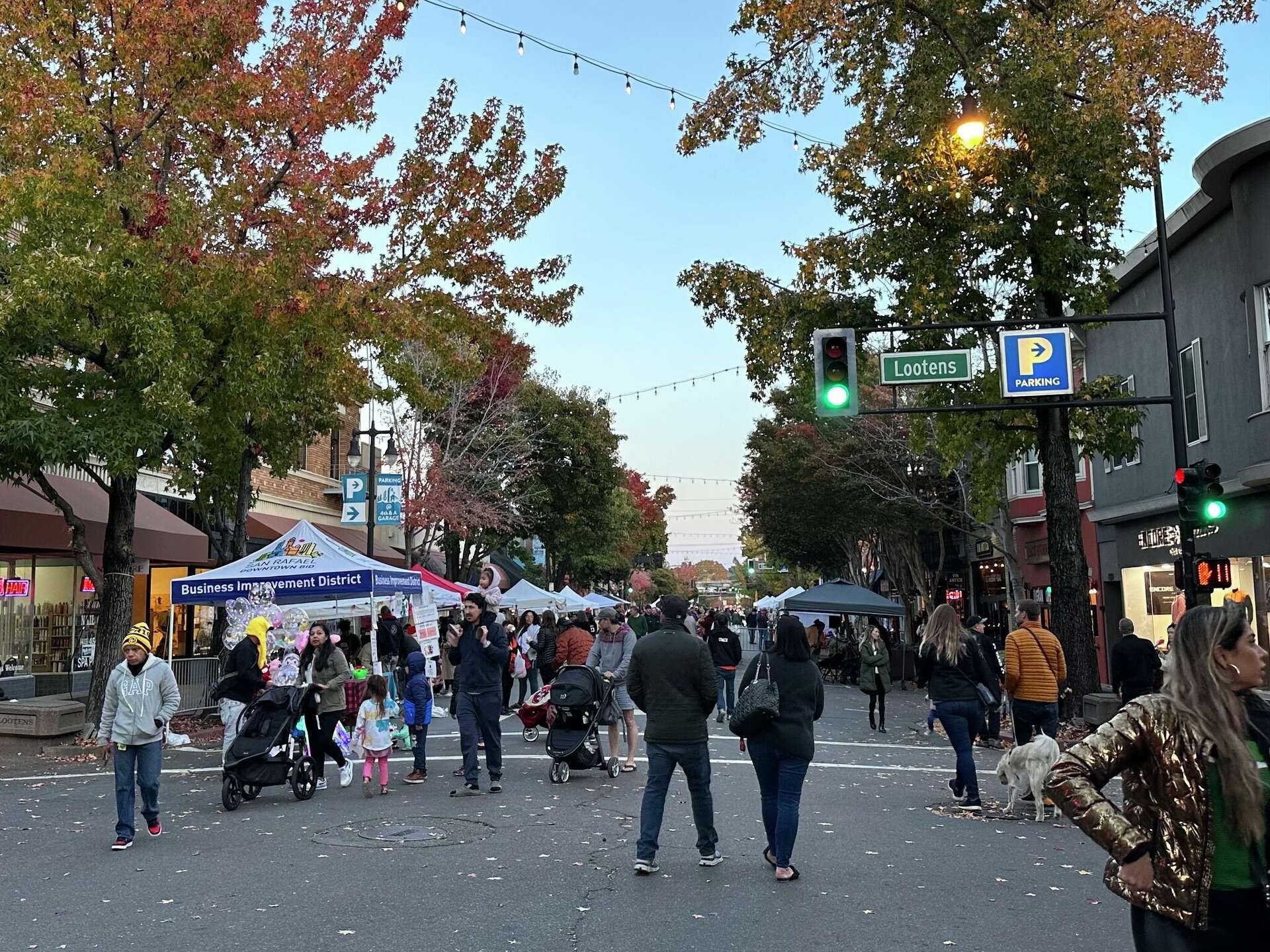 Holiday season kicks off in San Rafael with annual tree lighting