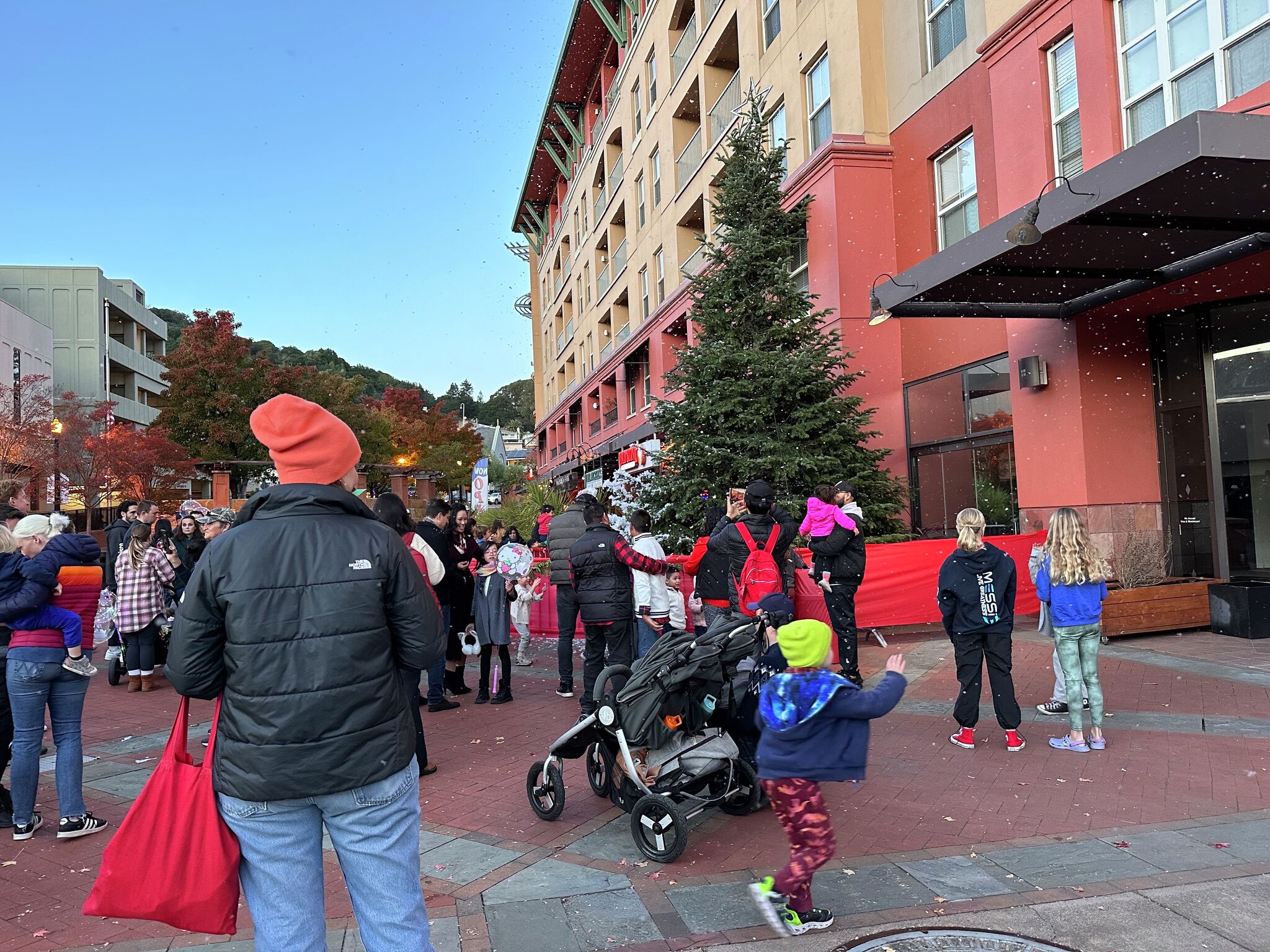 Holiday season kicks off in San Rafael with annual tree lighting