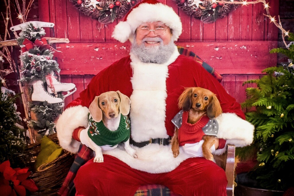 Pet photos with Santa event slated in Onekama
