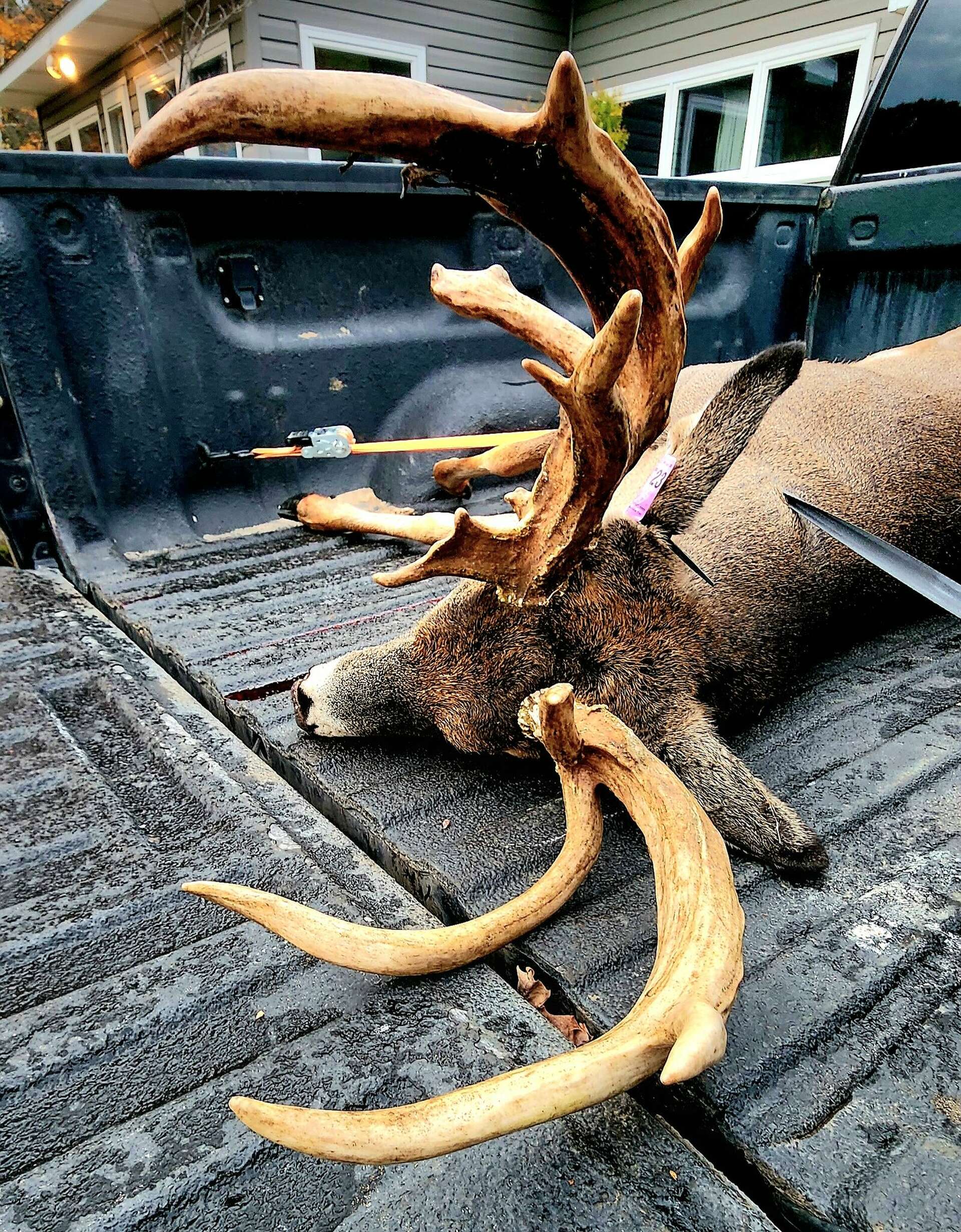 Manistee outdoorsman bags 14-point trophy buck in Onekama