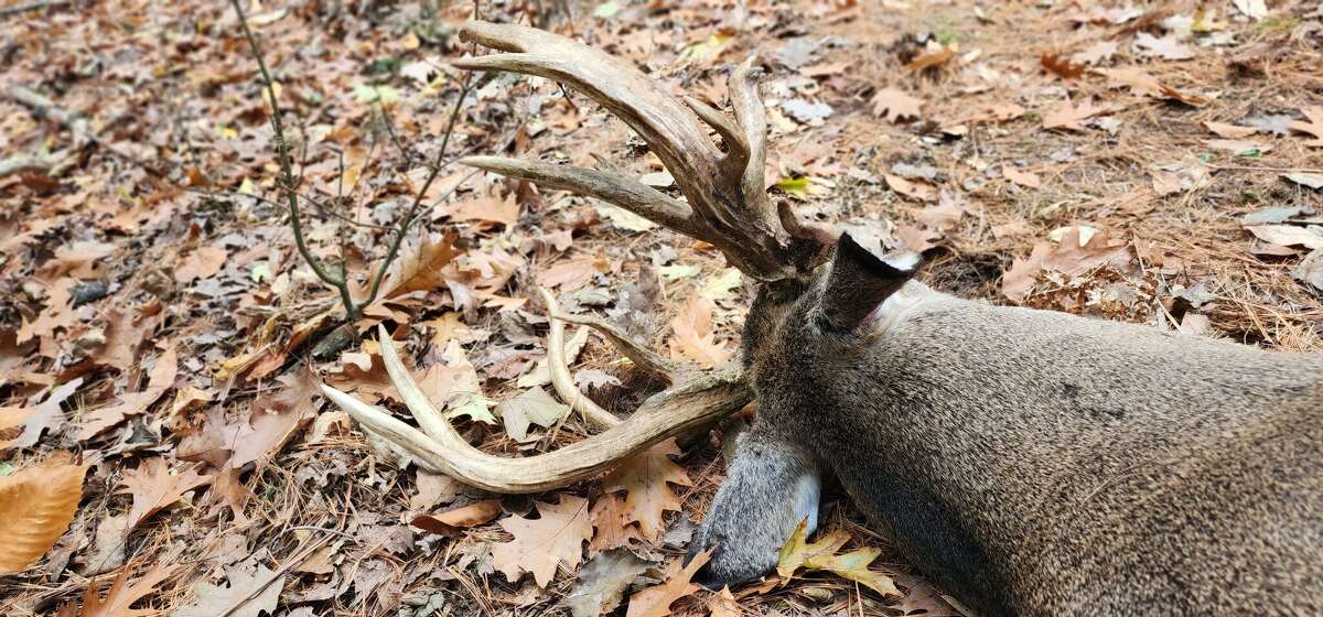 Manistee outdoorsman bags 14-point trophy buck in Onekama