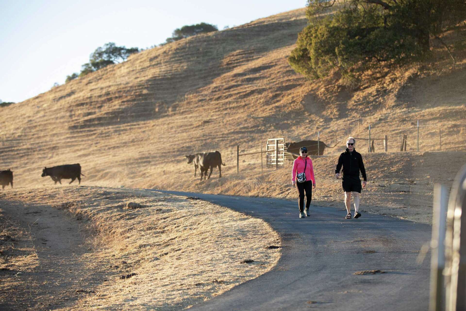East Bay hikers about to gain new access to 18 miles of trails