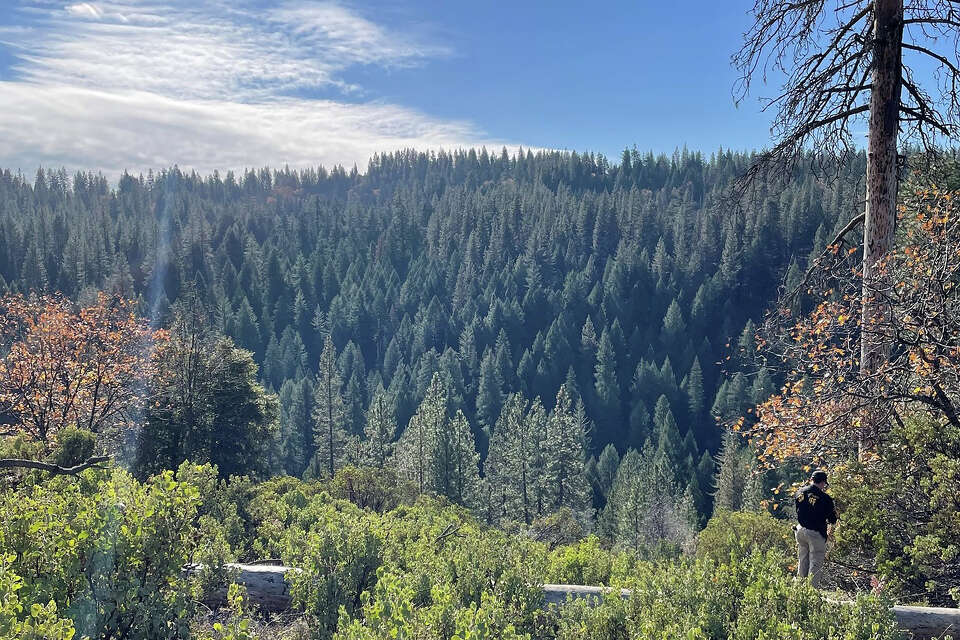 Woman who went missing on hike in California found dead