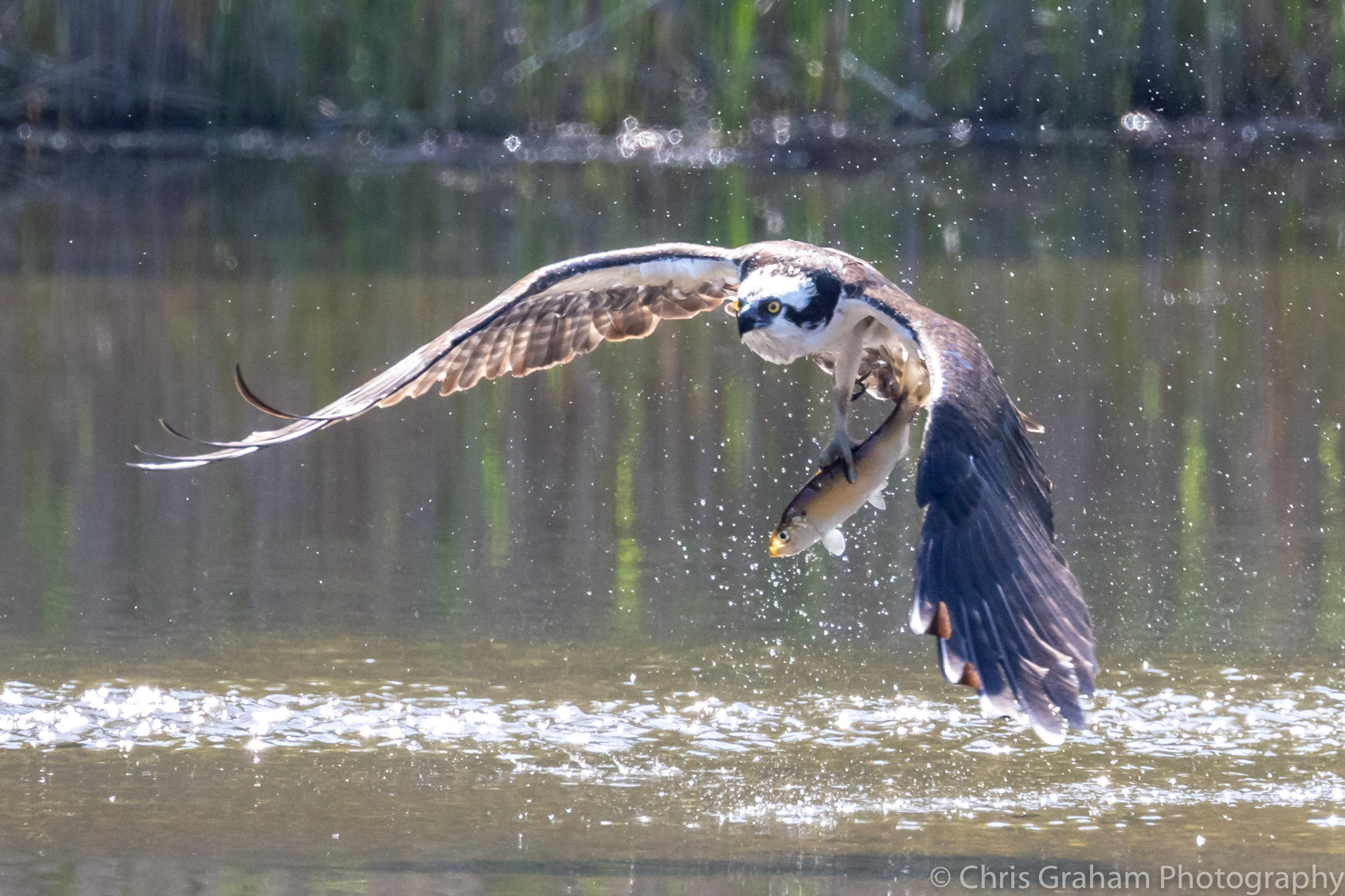 Vincent Gabrielle - Journalist Profile - Intelligent Relations