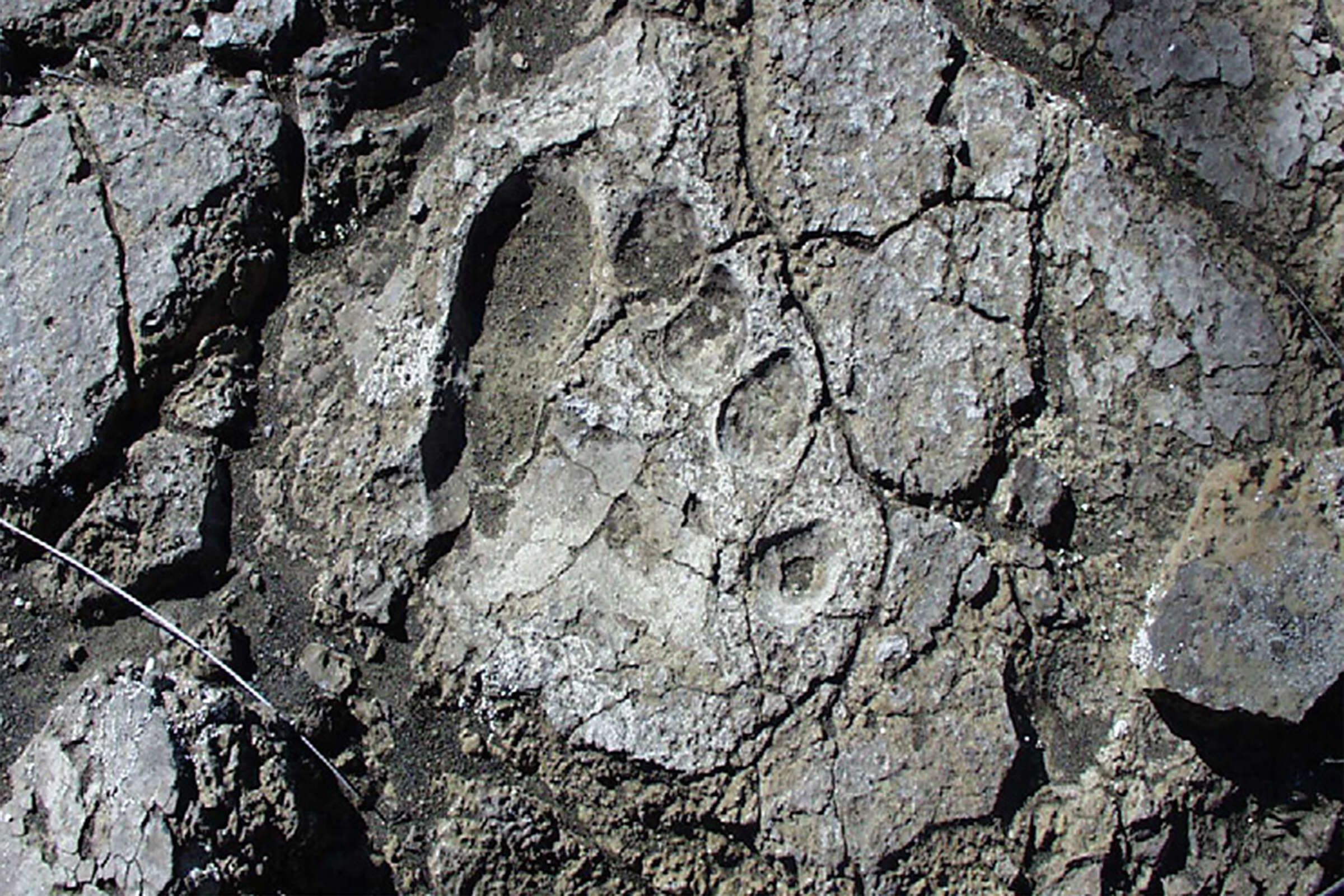The mysterious Hawaii footprints fossilized in volcanic ash