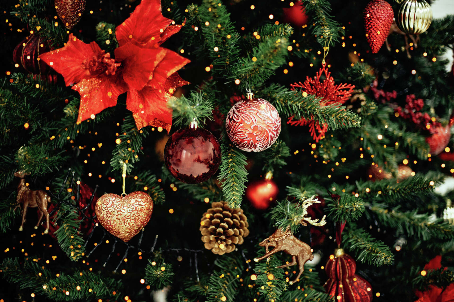 New Haven's annual Trees of Hope of benefit begins this weekend