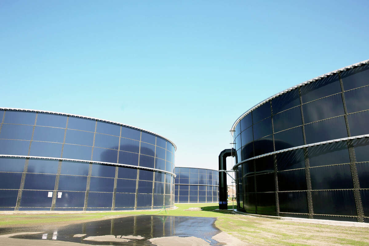 Manistee's Johnson voted best teacher in Readers' Choice