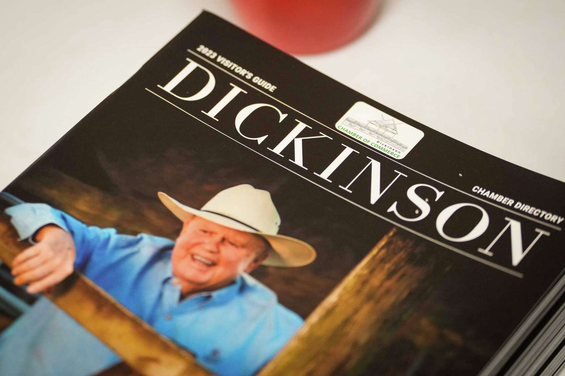 Bay Area | Houston Community Newspapers | HoustonChronicle.com