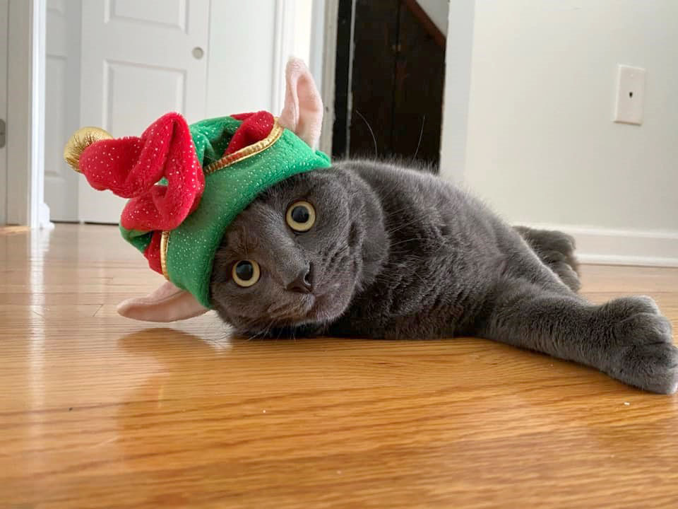 Branford Compassion Club fair features artisans and anginettes