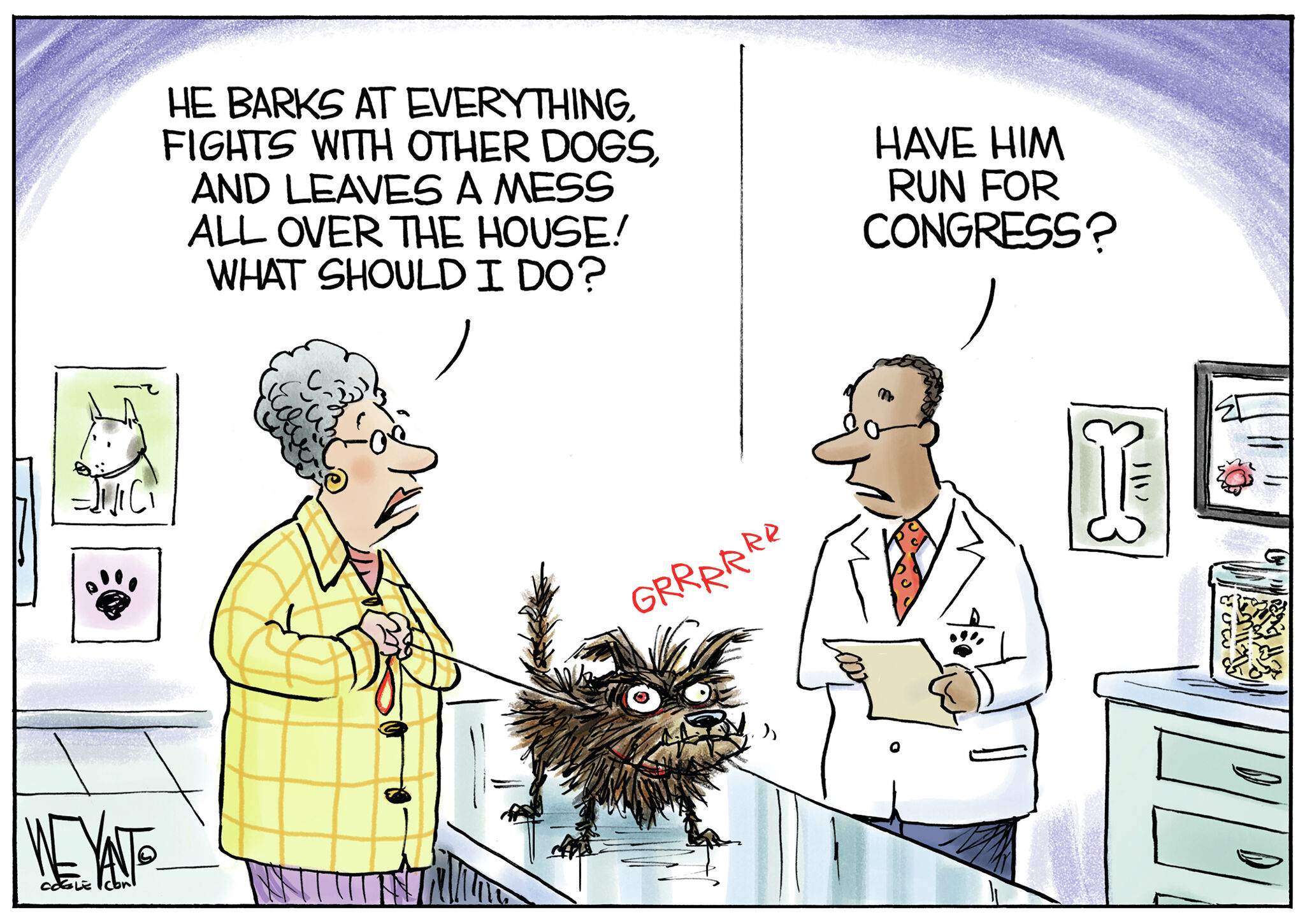 Perfect candidate