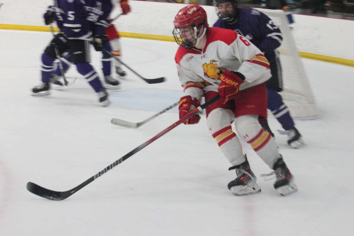 Ferris State Bulldogs hockey hopes for success against Bowling Green