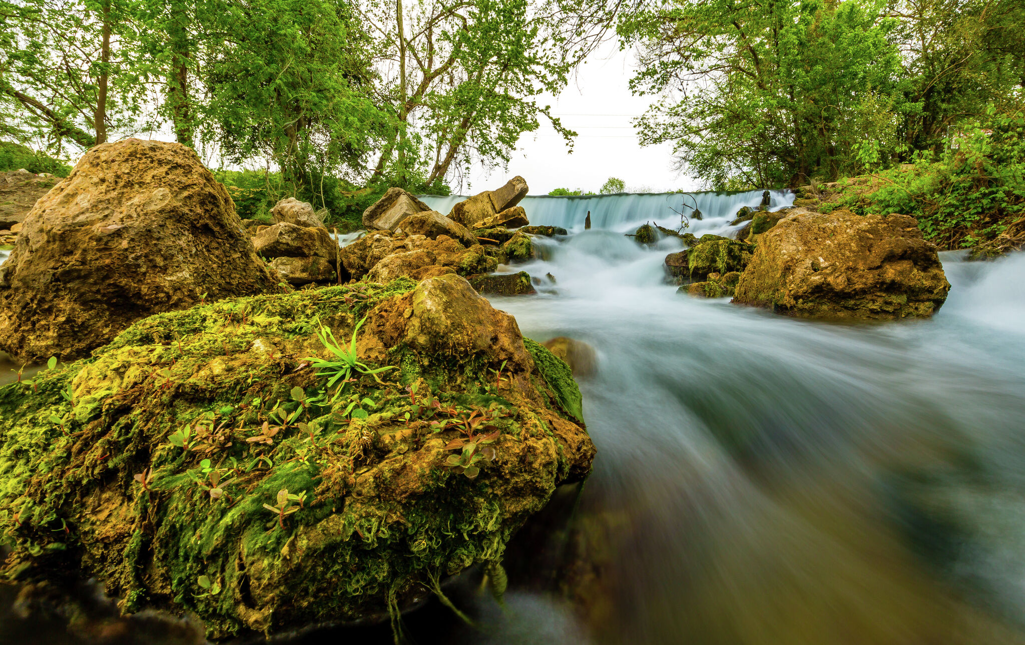 San Marcos council members approve 'can ban' ordinance