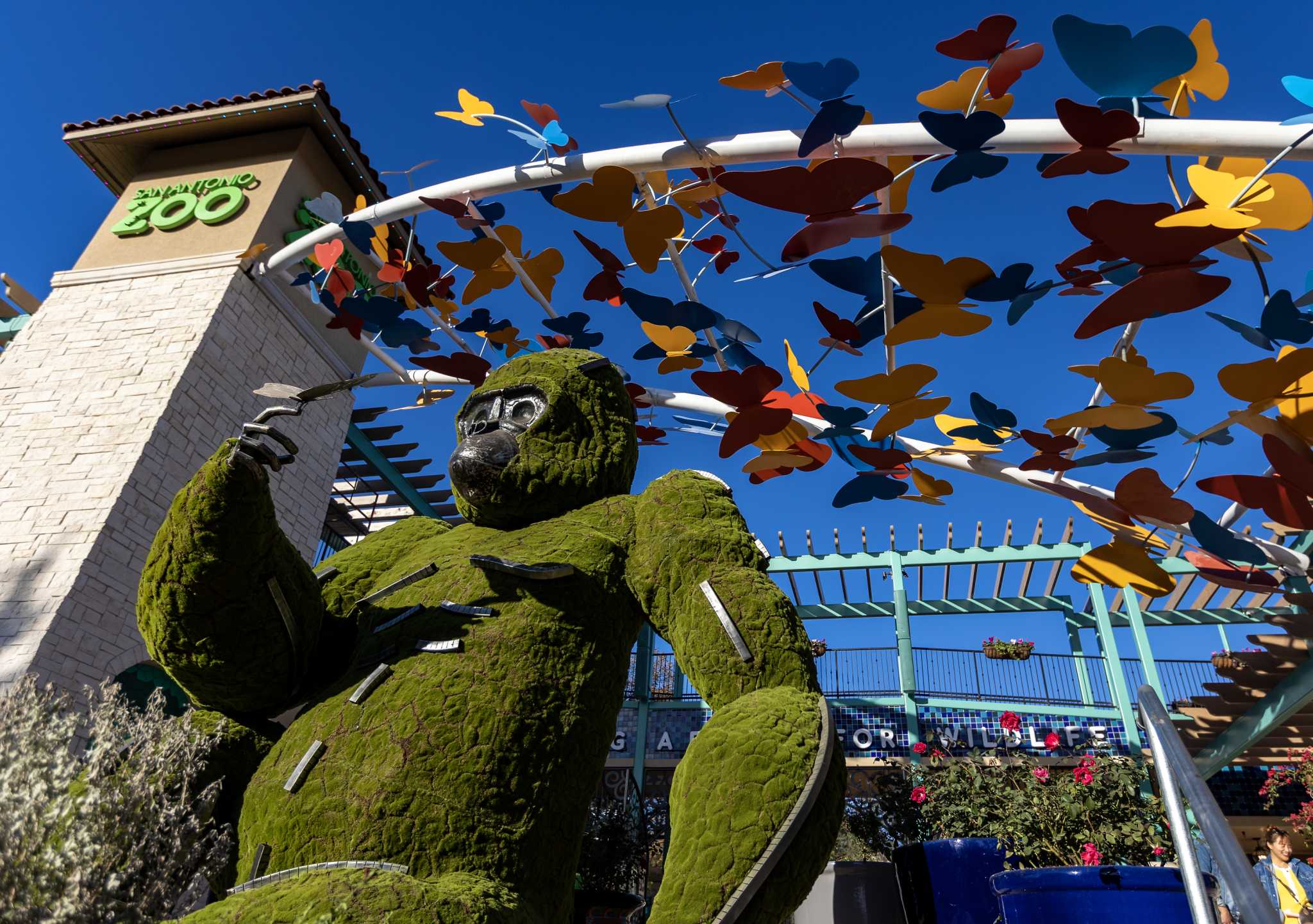 Here's how to get through spring break traffic at the San Antonio Zoo