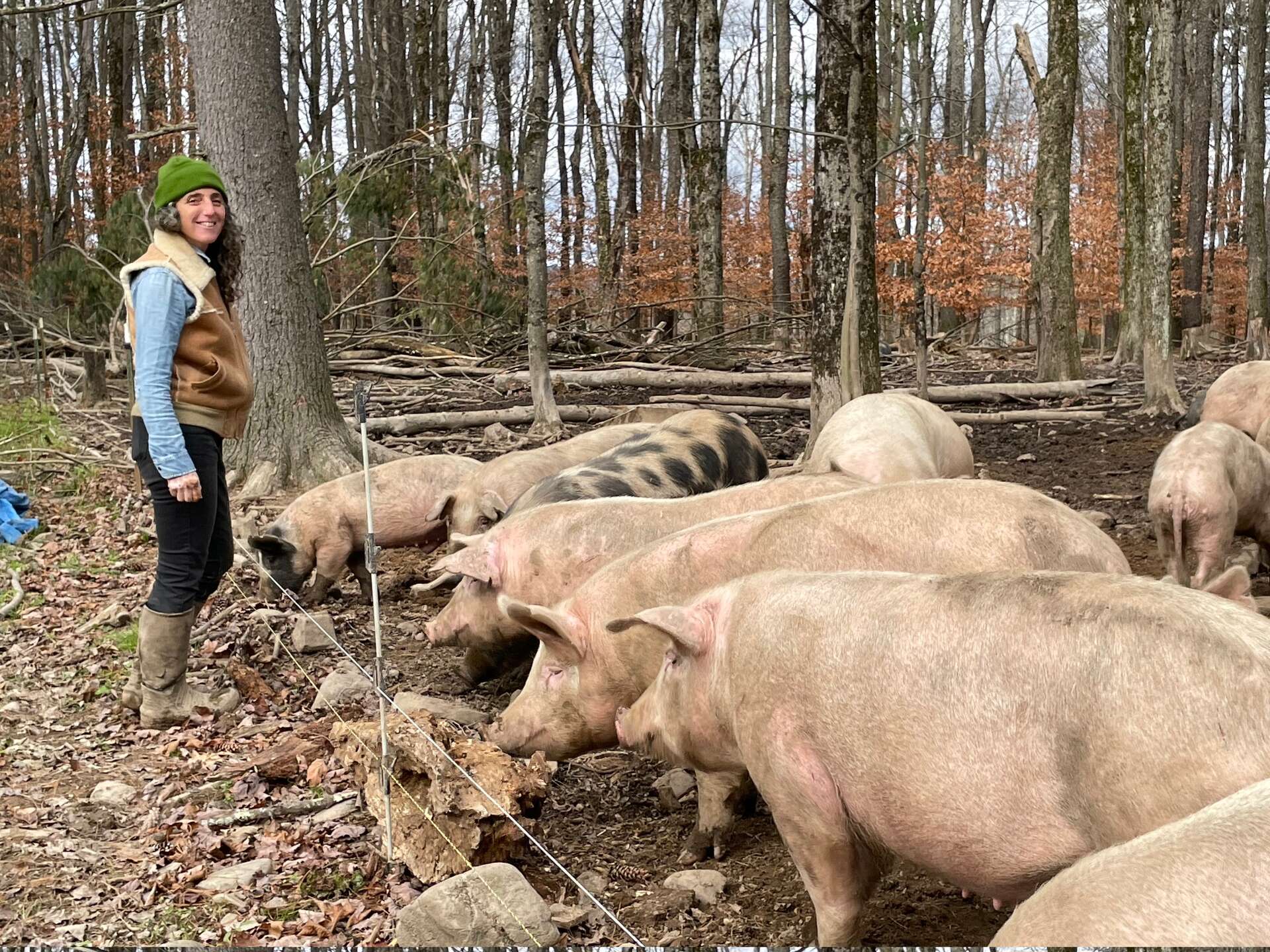 Raven & Boar becomes USDA-approved facility to process meat