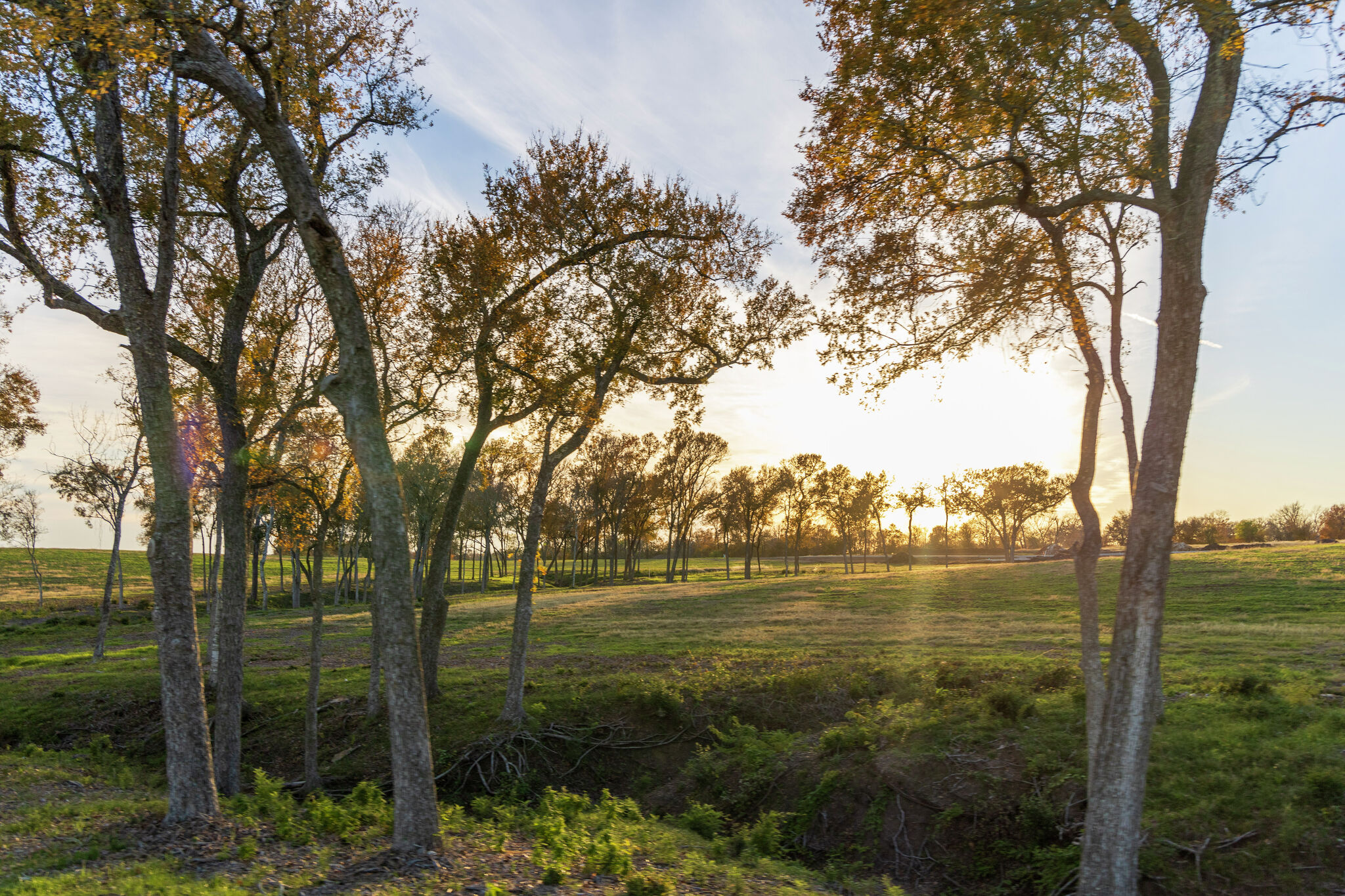 Houston-area historic site turning into luxury ranch community
