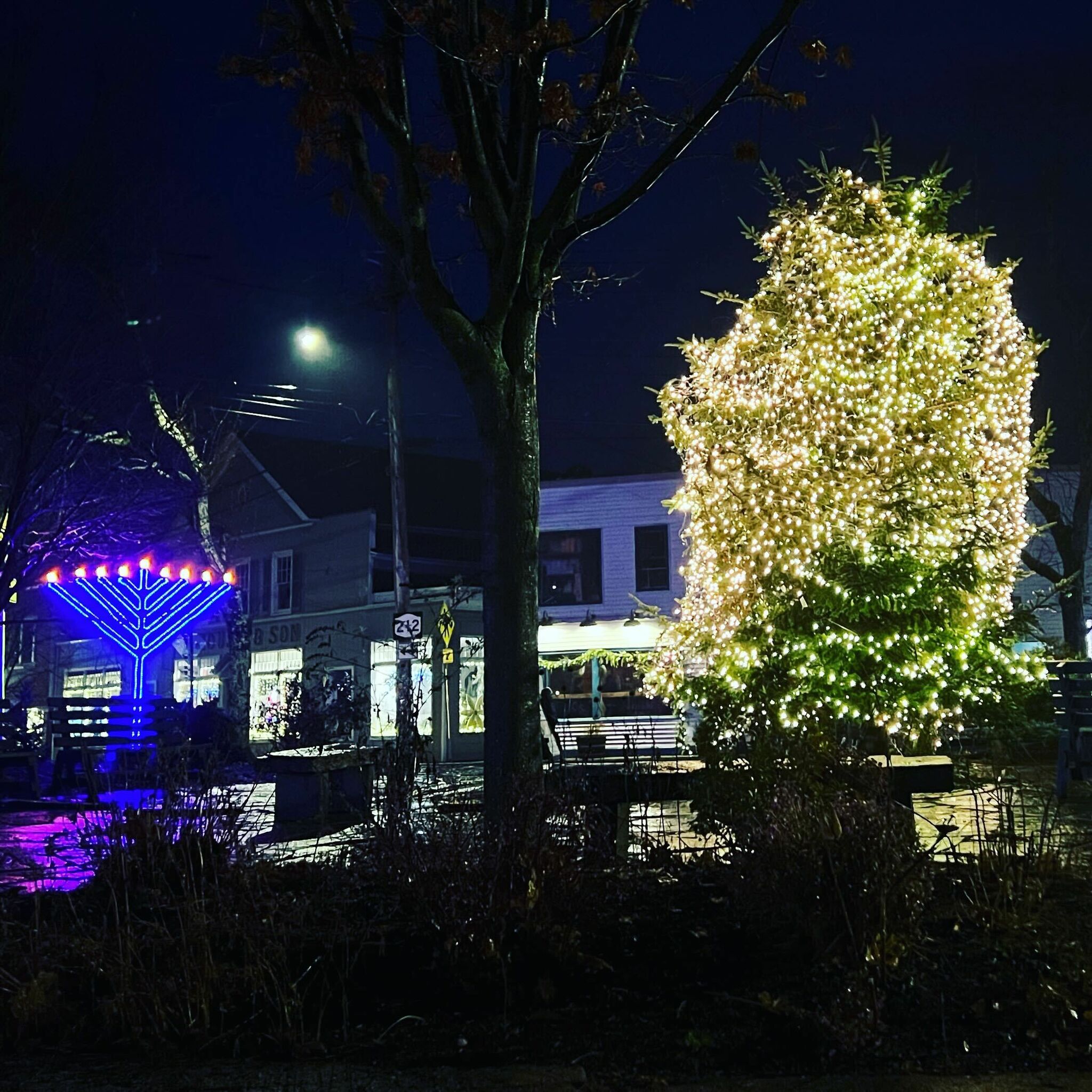 Woodstock replaces misshaped Christmas tree that went viral
