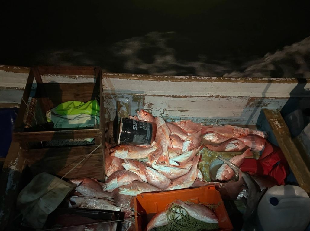 More than 2,500 pounds of red snapper seized by U.S. Coast Guard