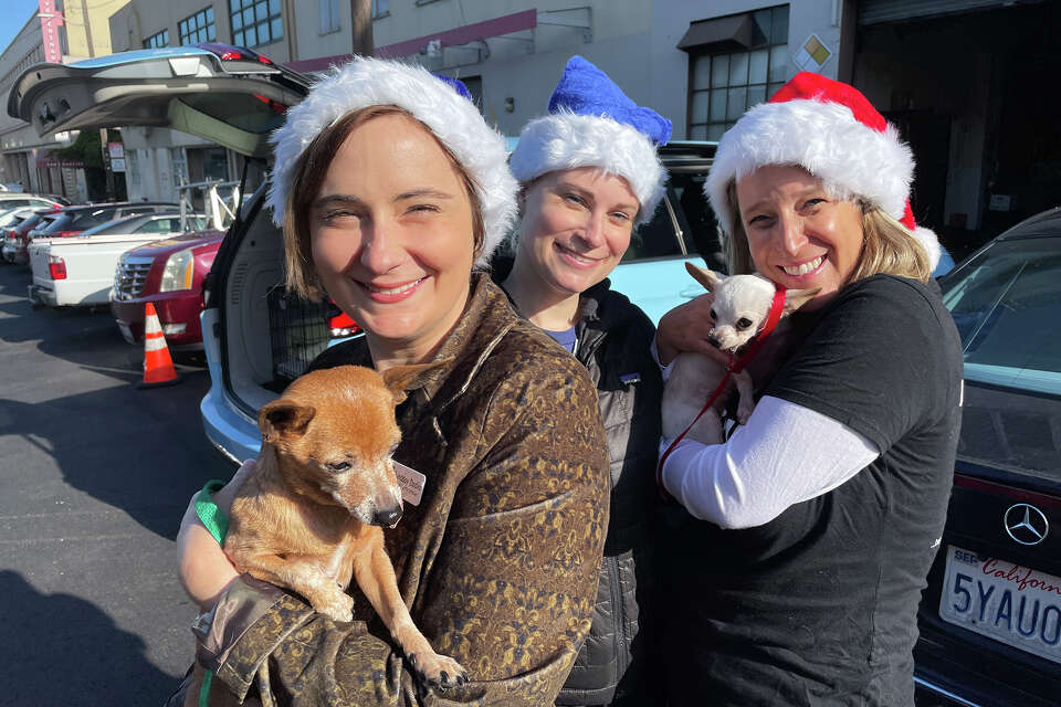 SF dog rescue Muttville is holding a massive adoption event