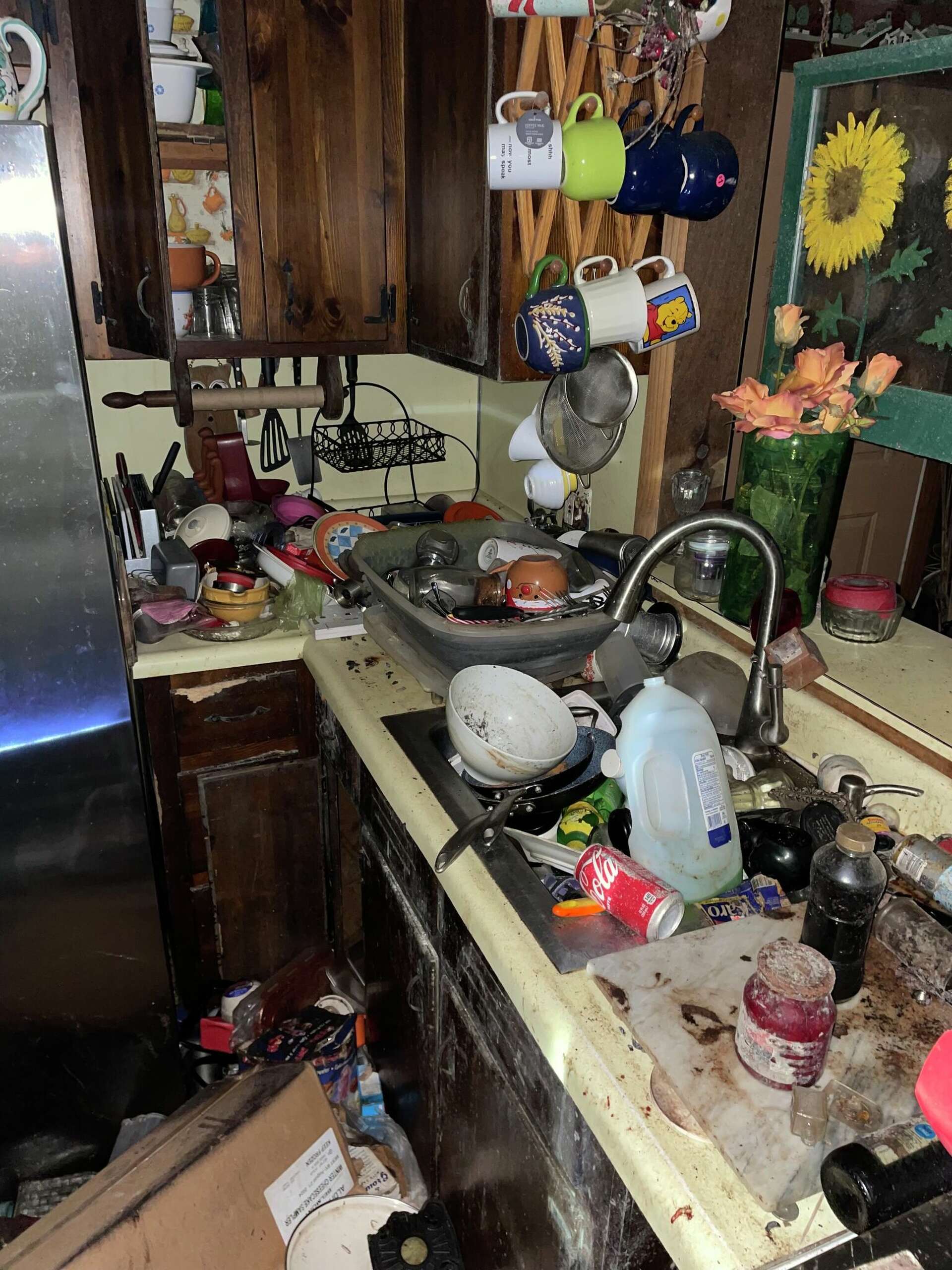 Vernon woman removed from hoarding-affected, rat-infested home