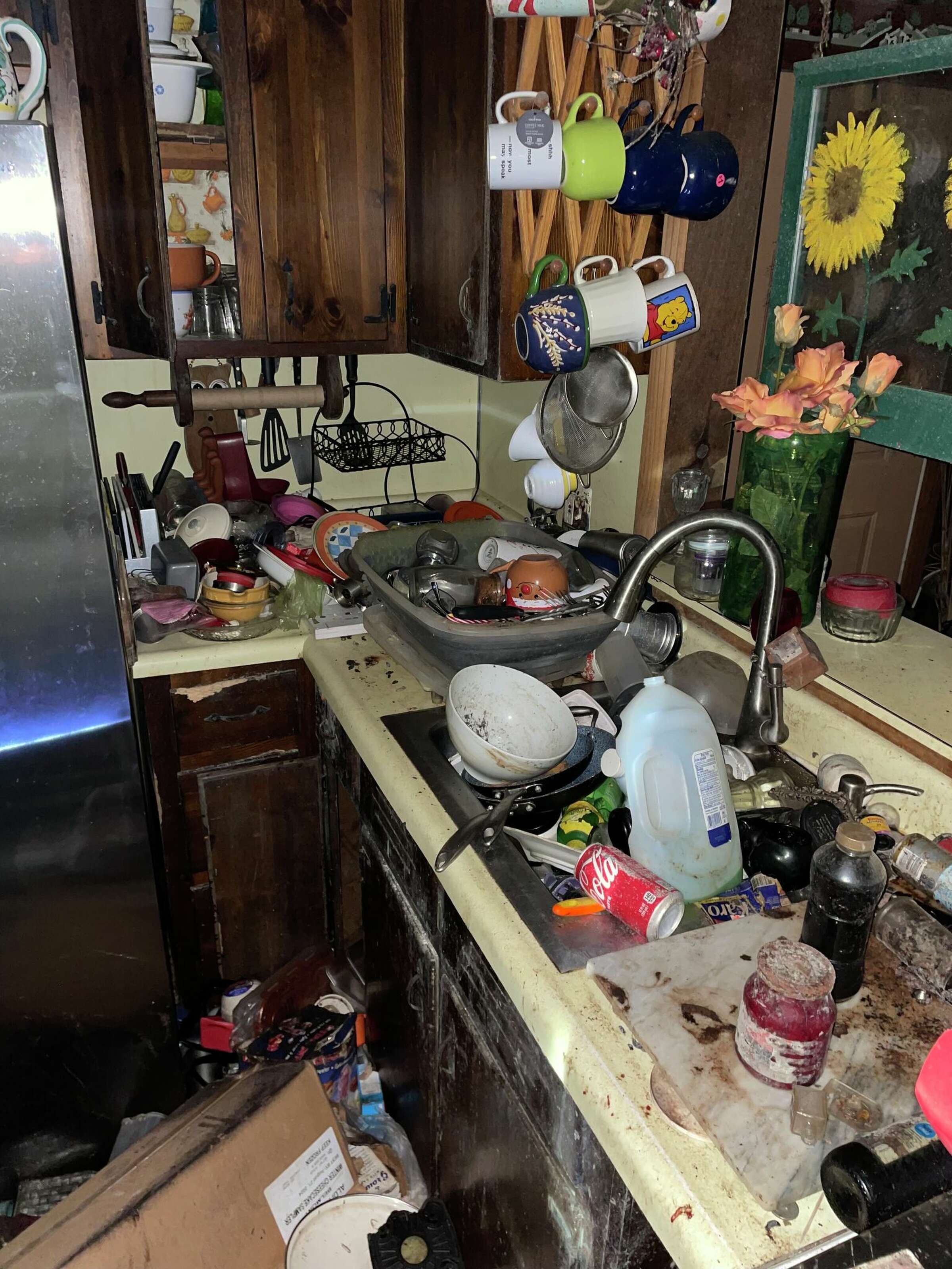 Vernon woman removed from hoarding-affected, rat-infested home