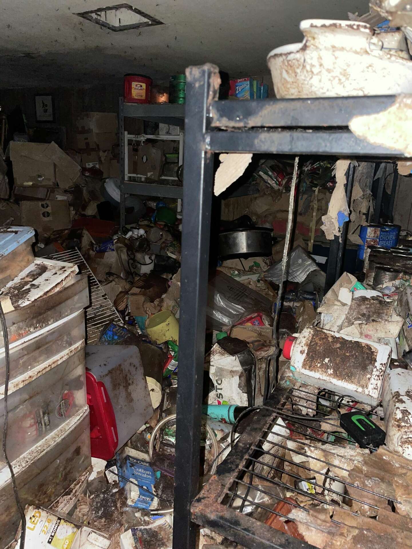 Vernon woman removed from hoarding-affected, rat-infested home