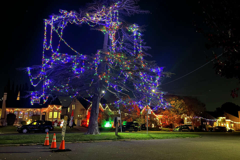 Where to see the best Bay Area holiday lights