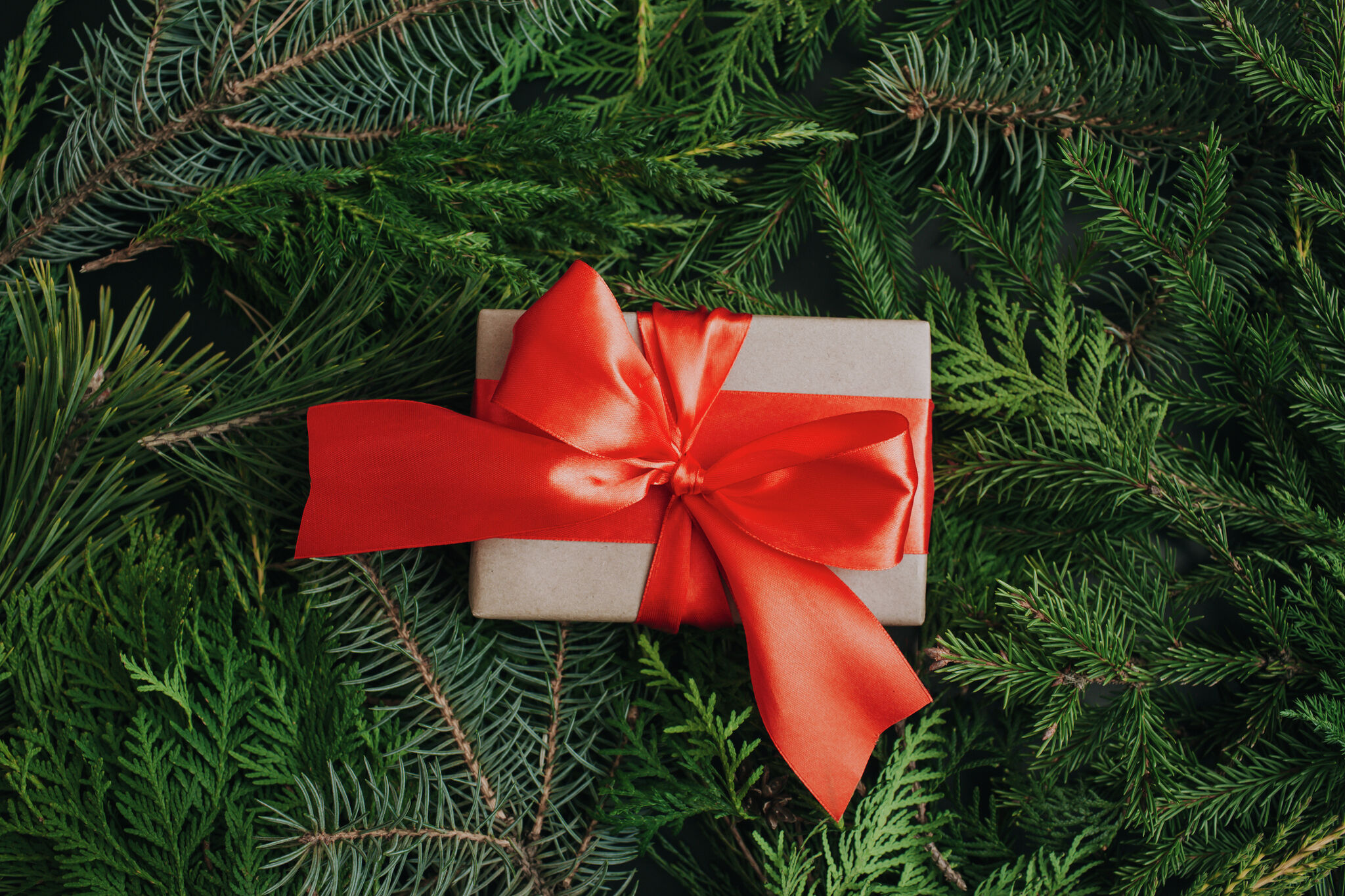 Show me the gift cards — Robin writes by Robin Garrison Leach