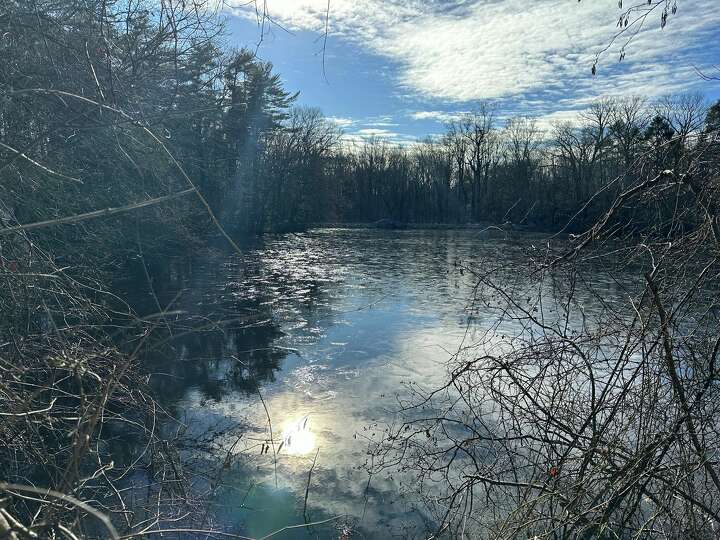 Greenwich may protect Pomerance and Tuchman Park from development