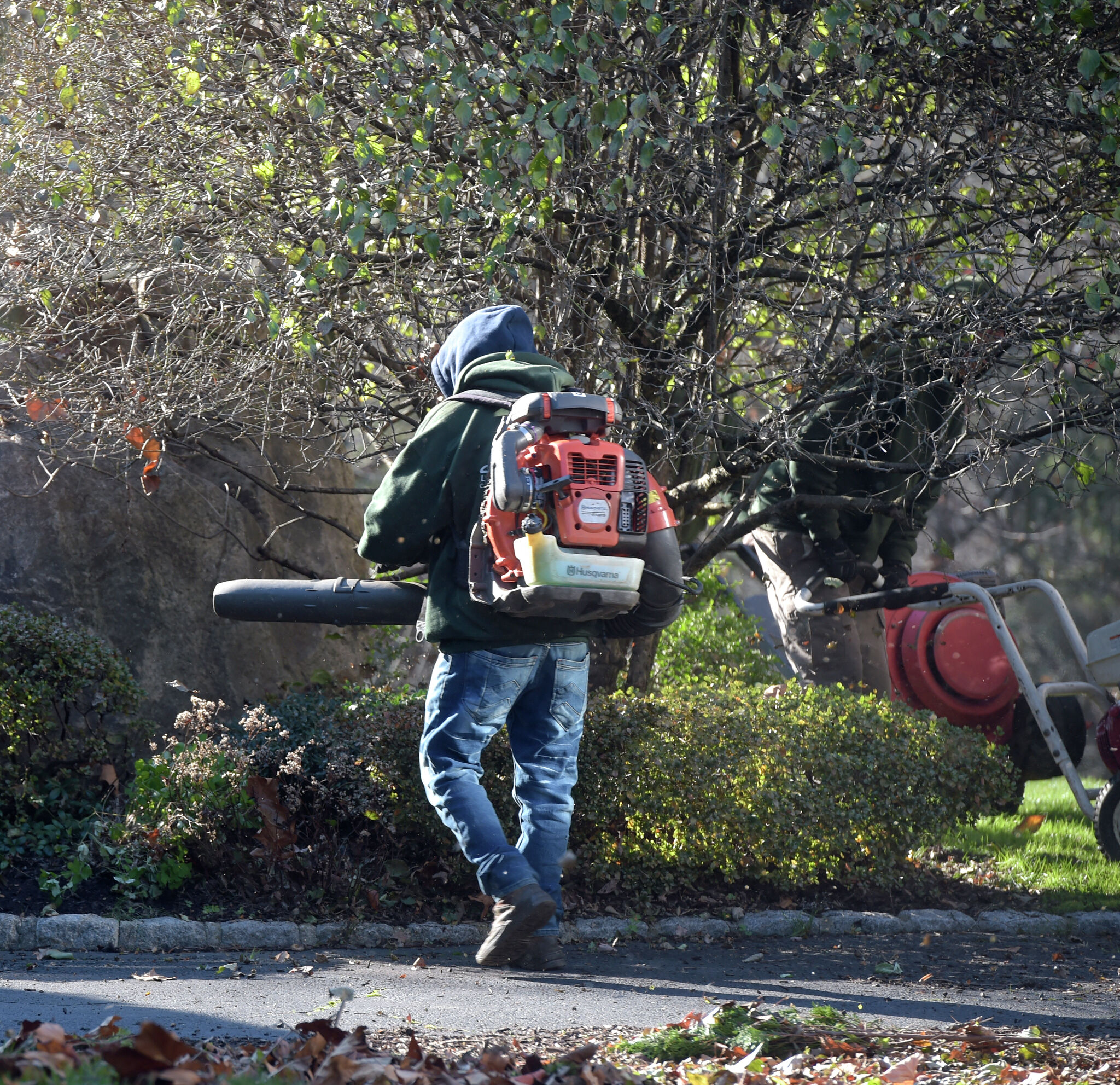 Norwalk landscapers say new gas-powered leaf blower ban isn't feasible