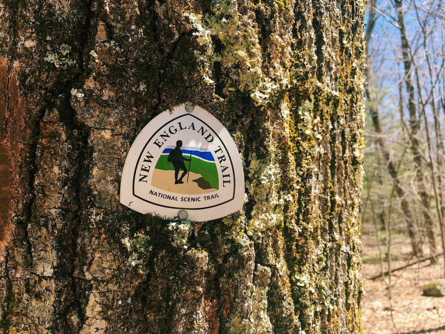 New England Scenic Trail, in CT, MA and NH, becomes National Park