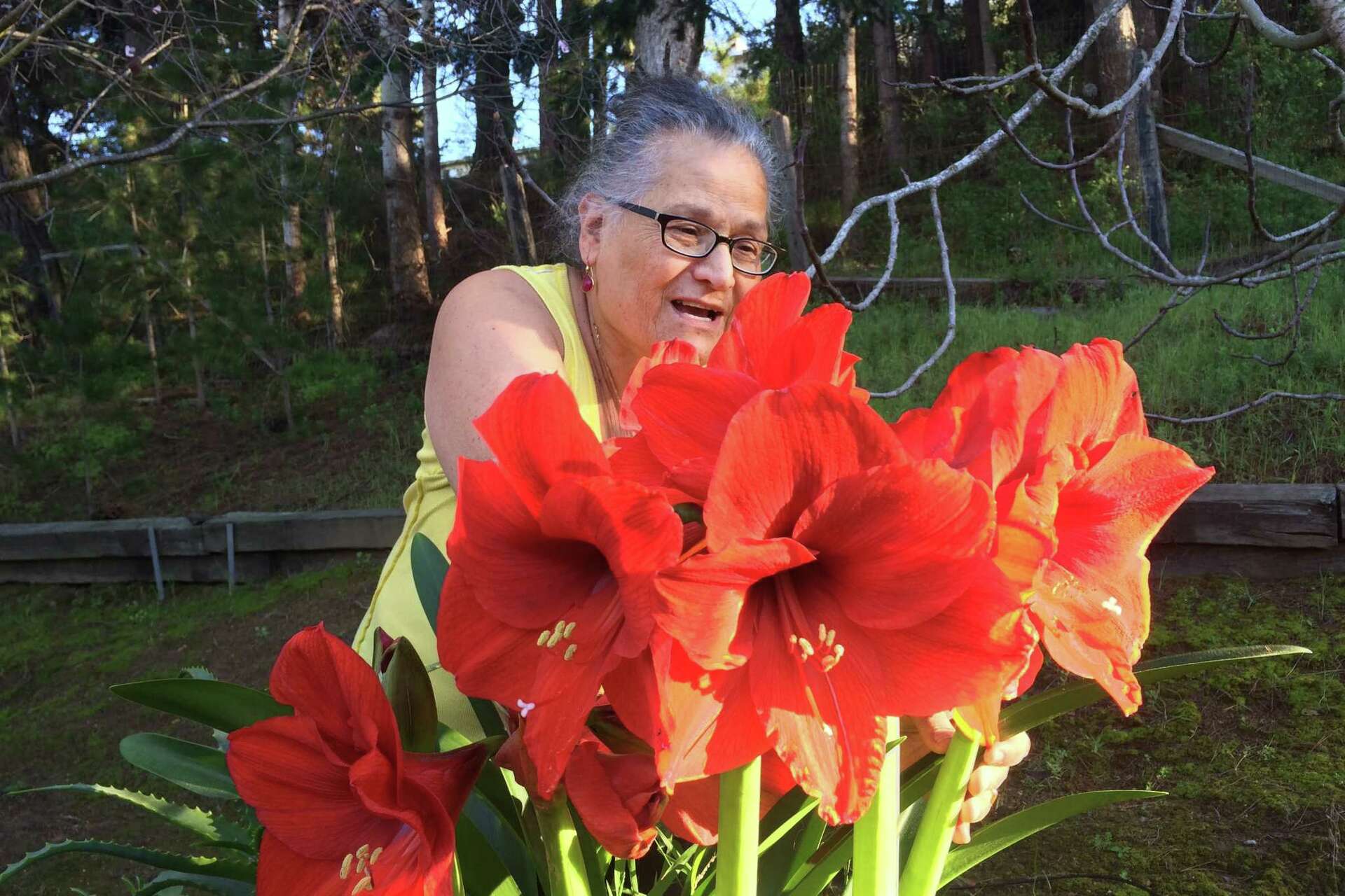 How one Palestinian activist fought for liberation in the Bay Area