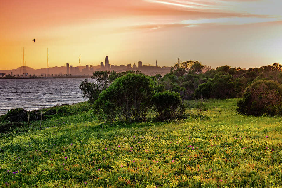 What to do in Emeryville to have the perfect day