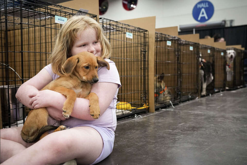 NRG to host mega pet adoption event in Houston
