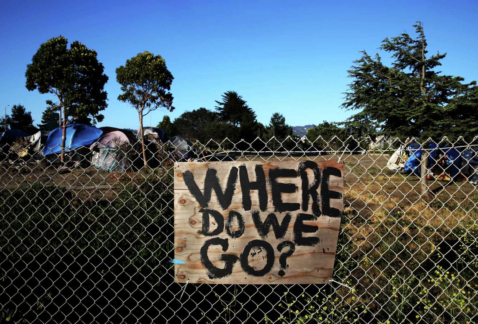 Judge halts planned Berkeley homeless encampment sweep