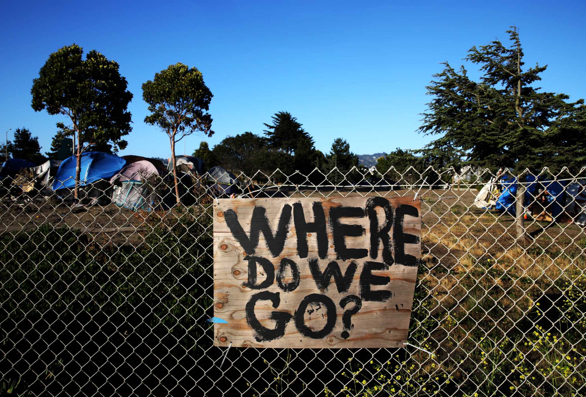 Judge halts planned Berkeley homeless encampment sweep