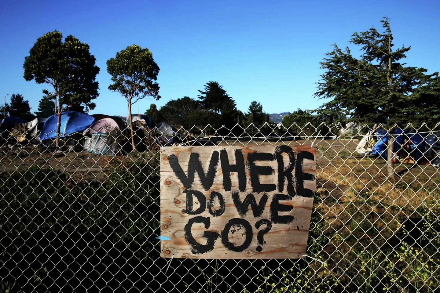 Rare disease found in Berkeley homeless encampment, officials say