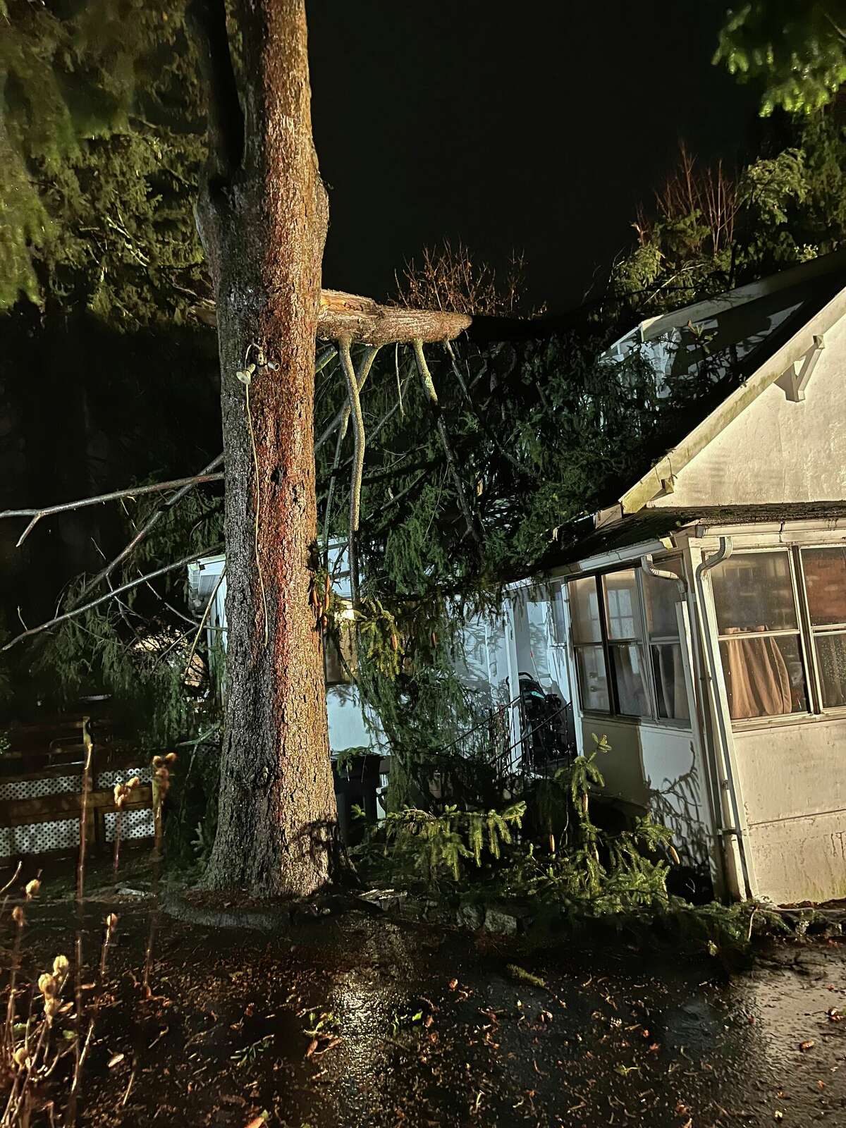 Tree branch crashes into Greenwich roof as storm causes power outages