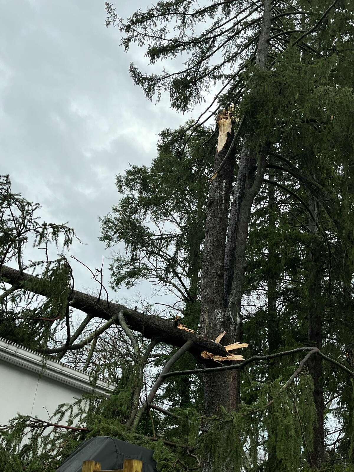 Tree branch crashes into Greenwich roof as storm causes power outages