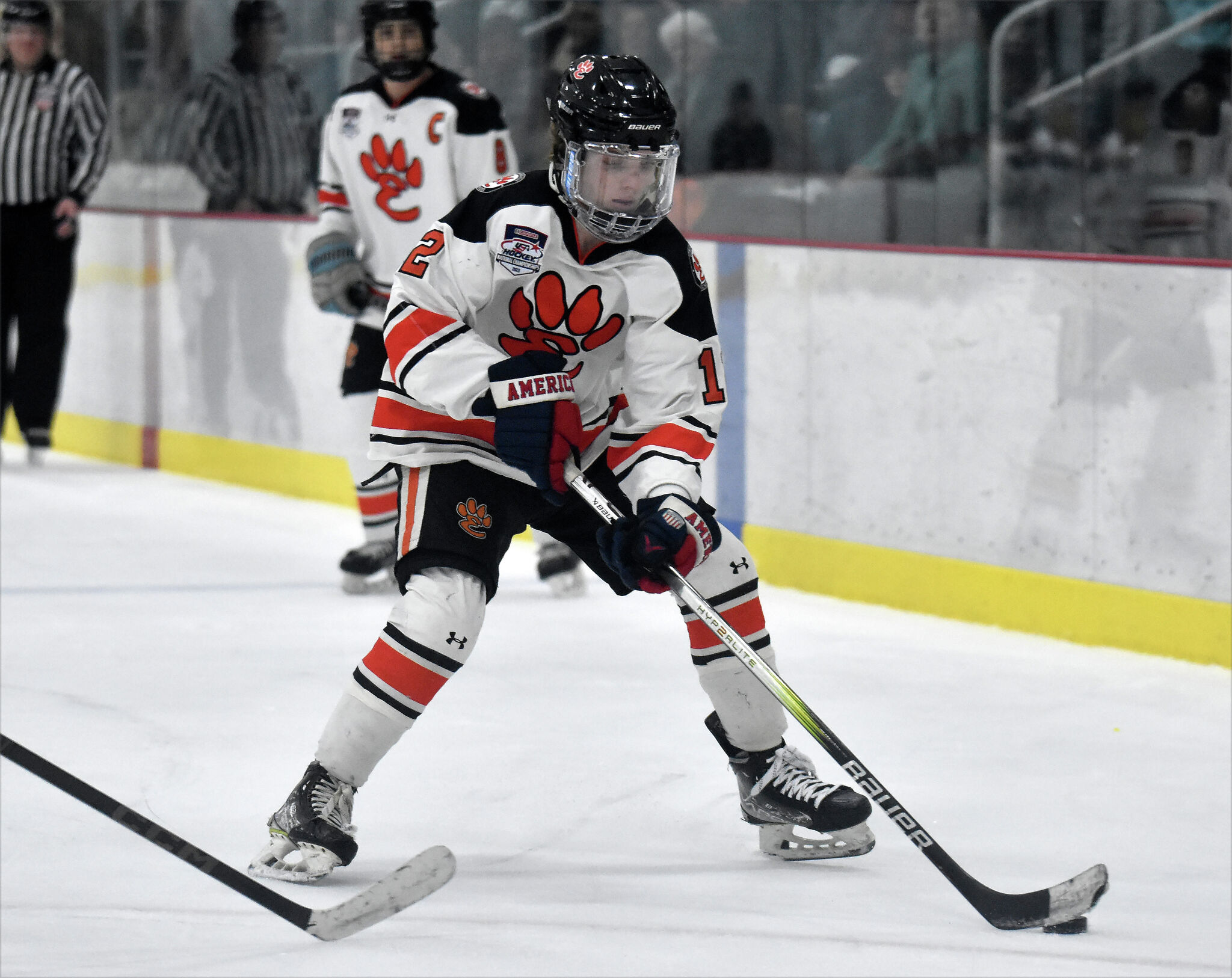 EHS hockey ends run at national tournament
