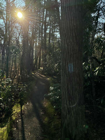 A hike up Mount Misery in CT's Pachaug State Forest