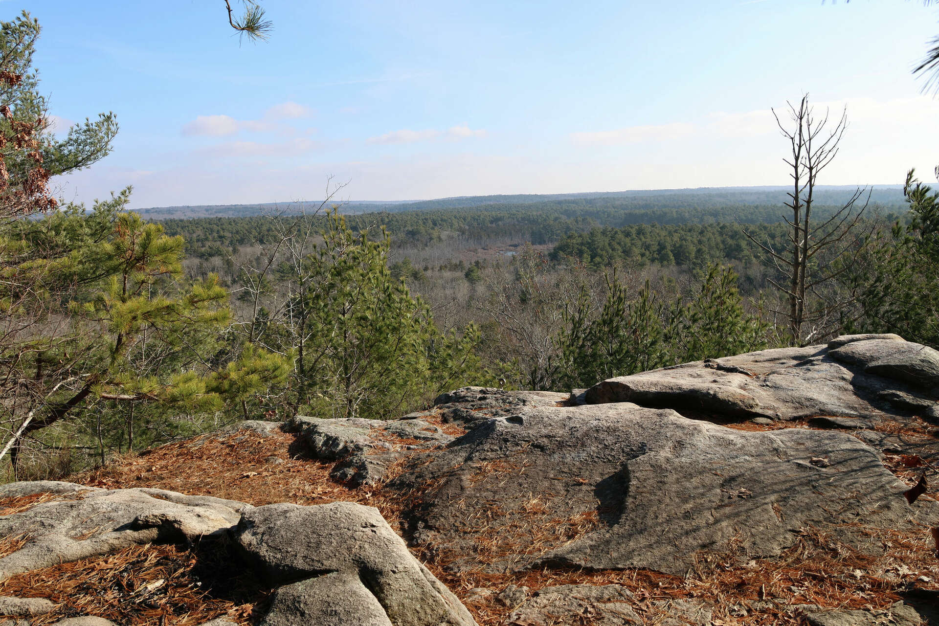 A hike up Mount Misery in CT's Pachaug State Forest