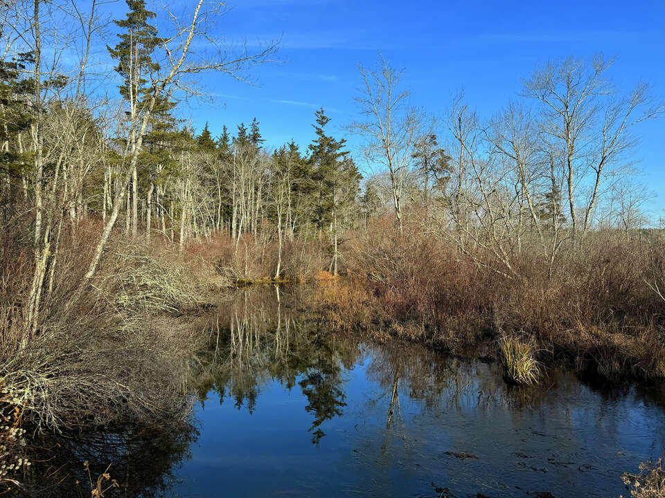 A hike up Mount Misery in CT's Pachaug State Forest