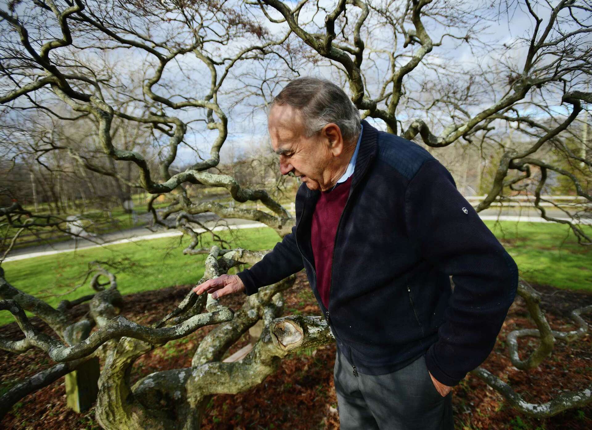 Jacques retires after working as Trumbull tree warden for 50 years